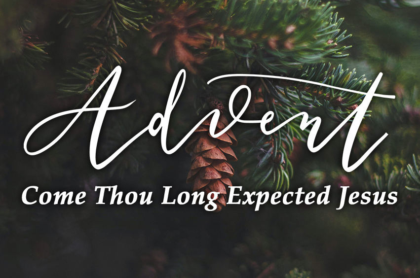 Advent Devotionals | Dallas Baptist University